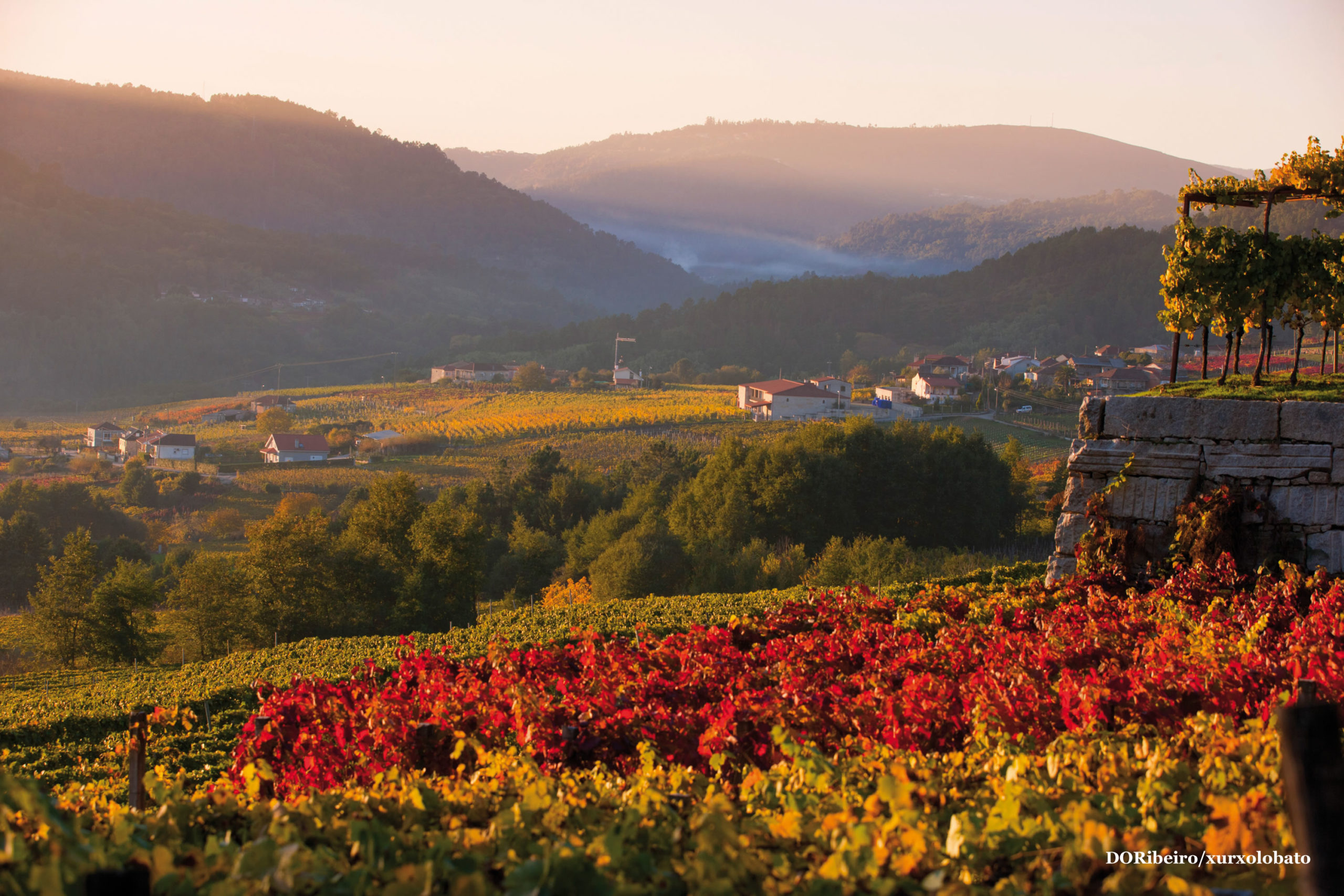 D.O. Ribeiro | Enoturismo & Catas | VISITAR BODEGAS